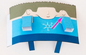 Paper Rob – Rob Ives