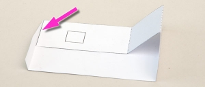 Interchangeable Cam – Rob Ives