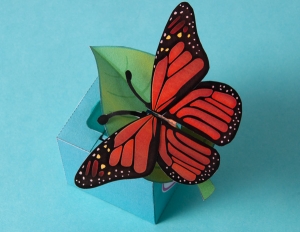 Butterfly – Rob Ives