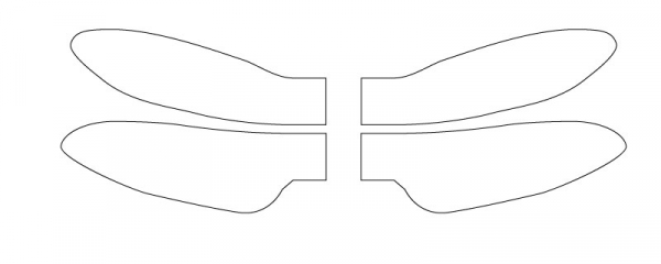Patterns on a Dragonfly Wing – Rob Ives