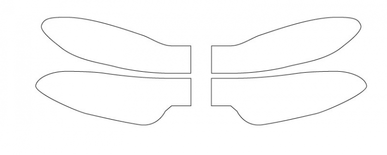 Patterns on a Dragonfly Wing – Rob Ives