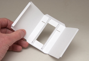 Pendulum Experiment – Rob Ives