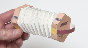 Squeeze Box – Rob Ives