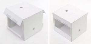 Double Cam – Rob Ives