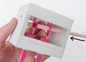 Double Cam – Rob Ives