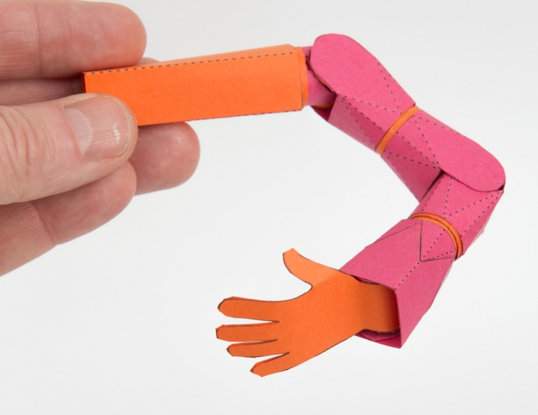 Poseable Paper Arm – Rob Ives