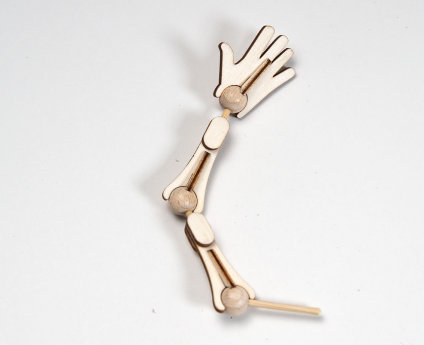 Poseable Arm : Laser-Cut – Rob Ives