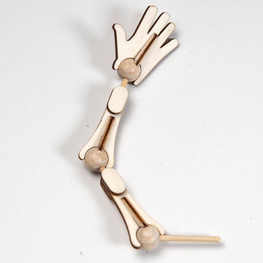 Poseable Arm : Laser-Cut – Rob Ives
