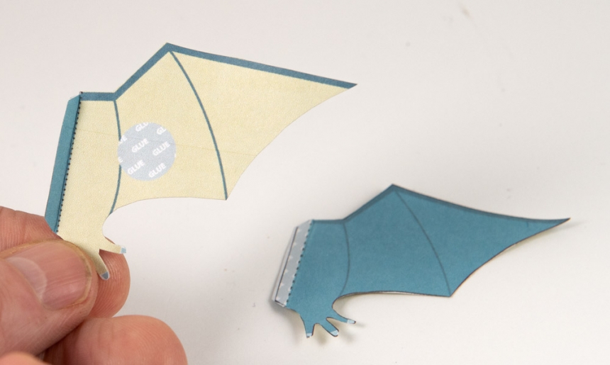 Pterodactyl – Rob Ives