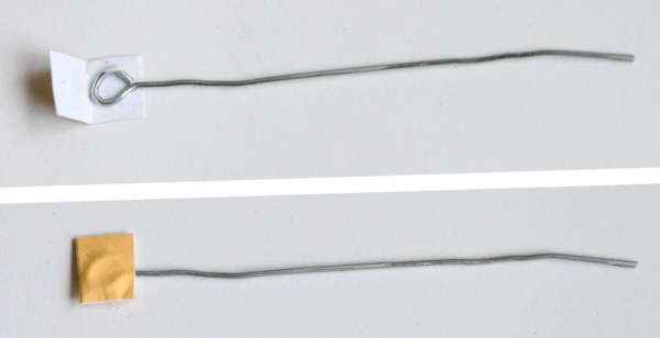 Pegasaurus – Rob Ives