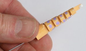 Pegasaurus – Rob Ives