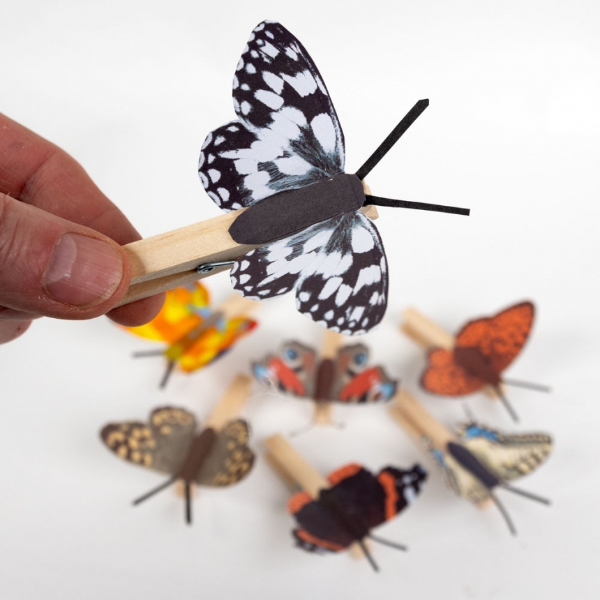 Simple Butterfly – Rob Ives