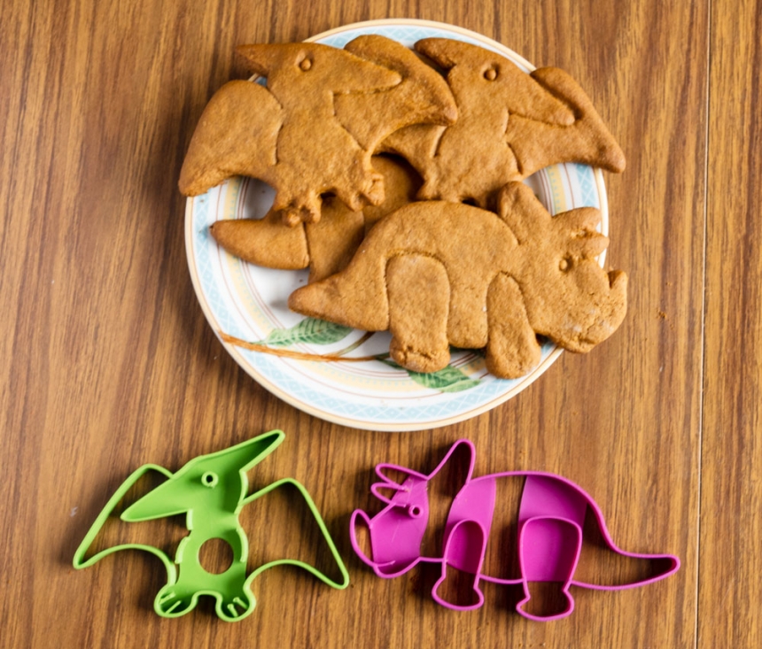 Dino Cookies x 4 – Rob Ives