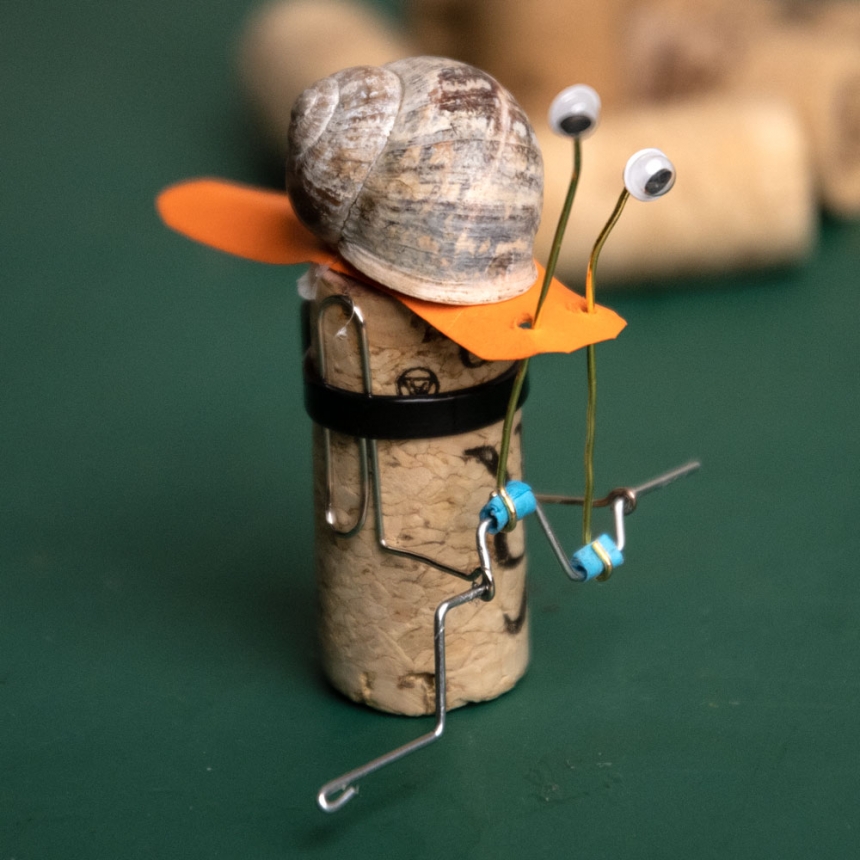 Test Snail – Rob Ives