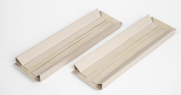 Pendulum Dinosaur – Rob Ives