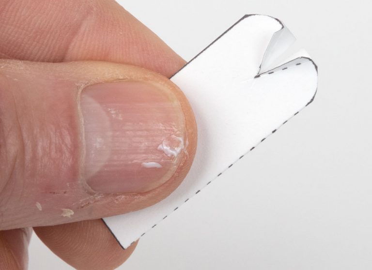 Pendulum Monkey – Rob Ives