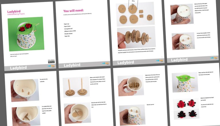 Ladybird / Ladybug – Rob Ives